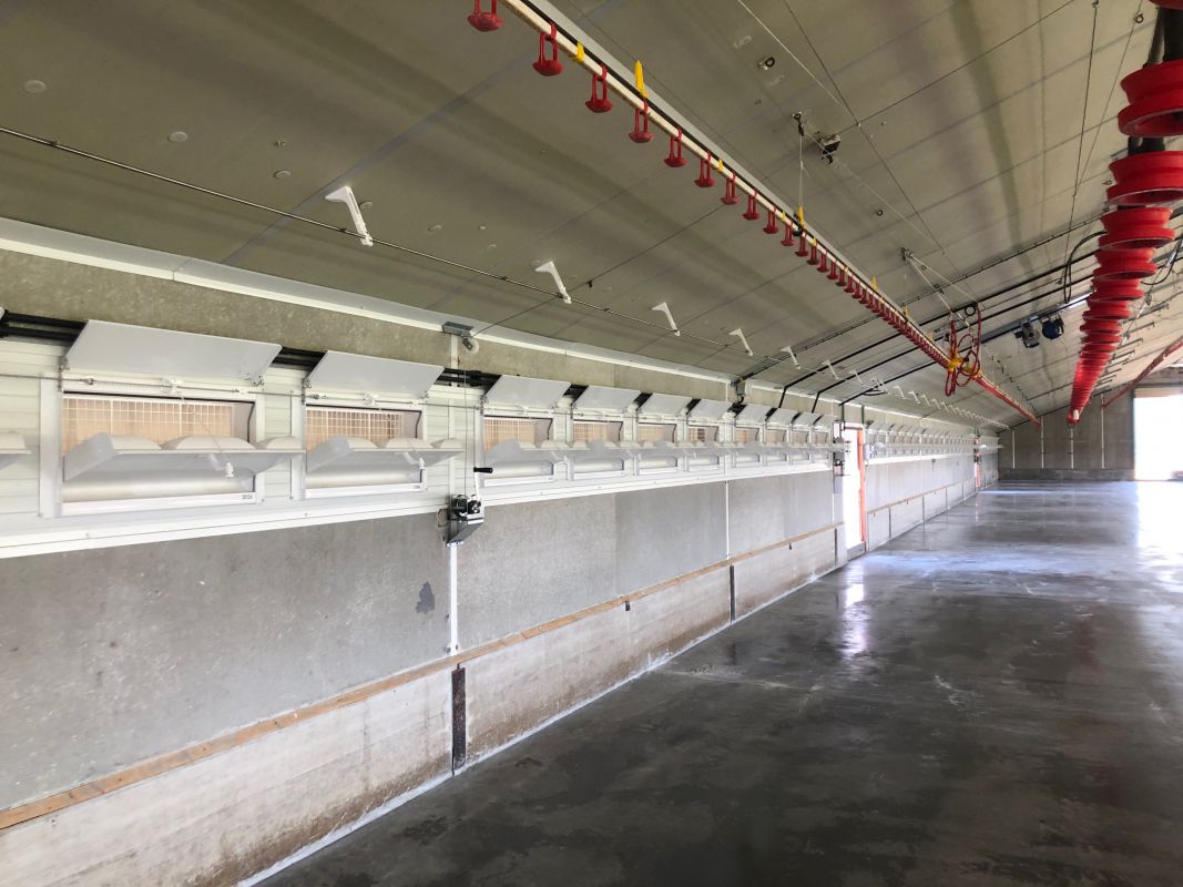 Rénovation d’un bâtiment d’élevage avicole à Caden - Morbihan - Simatel ...